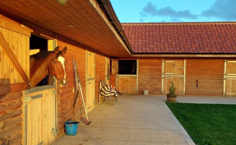 Grange Farm Lincolnshire | Horncastle Caravan Site, Fishing Lakes
